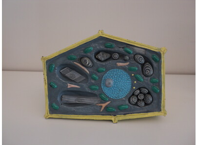 MODEL PLANT CELL - ZX200011 | Leermiddelen
