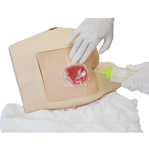 PRESSURE SORES SIMULATOR - MW63 - MW63/KK | Leermiddelen